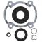 Complete Gasket Kit W/ Oil Seals Ski-Doo Safari Citation/Tundra 250cc ...